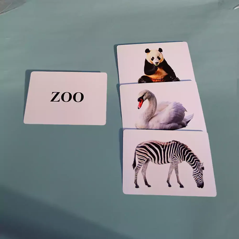 ZOO - RightBrain IQ Store
